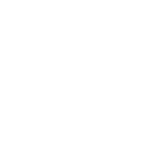 About | Justice Rapid Response